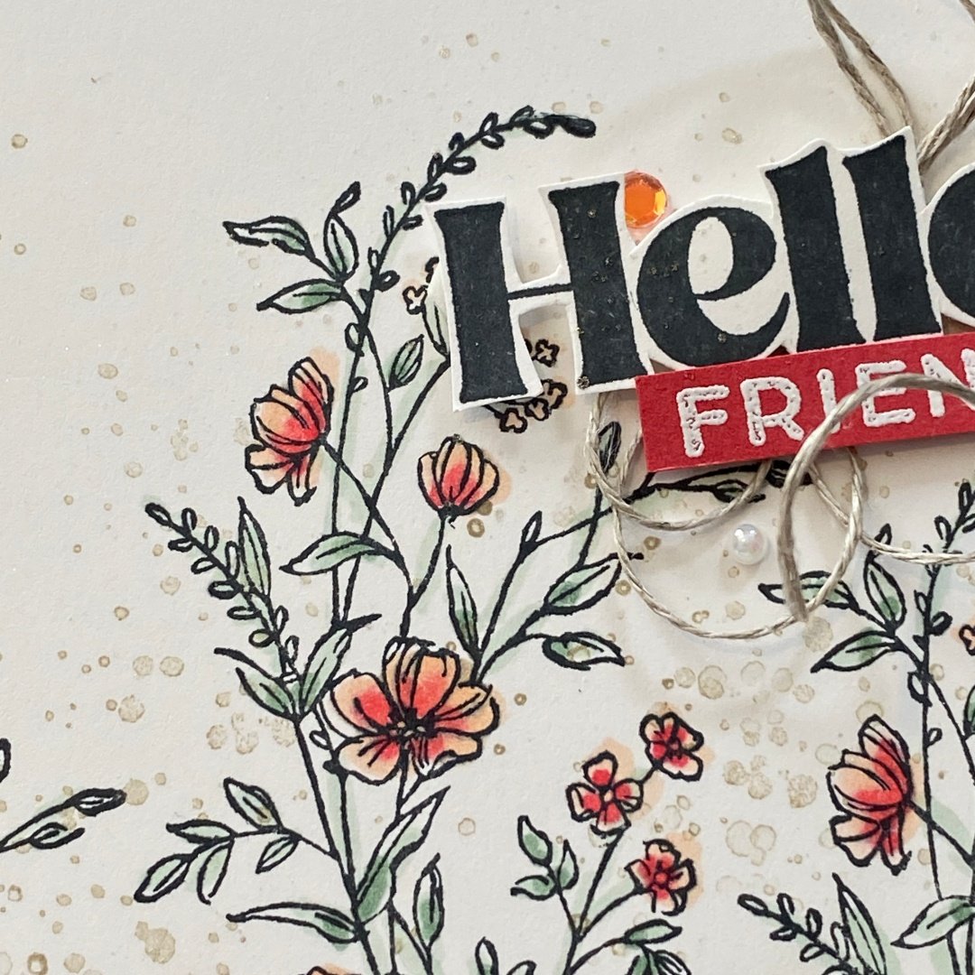 Dainty Delight: Plus Video- CAS on Friday #250 Challenge!