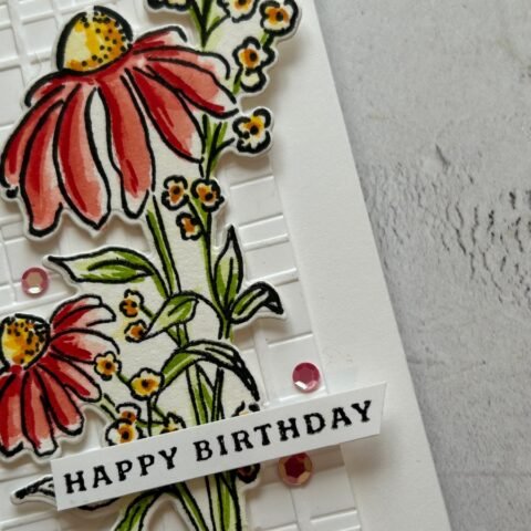 Mixed Florals Stamp Bundle: CAS - Watercolour Challenge!